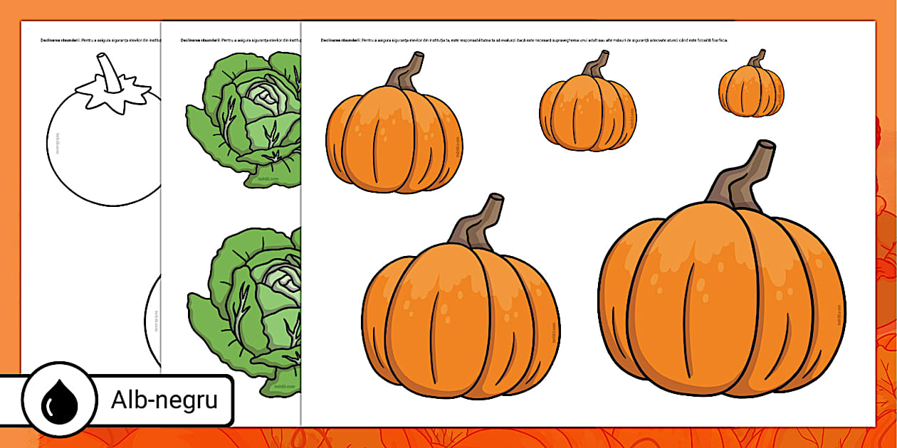 Recolta Serenei – Activitate de ordonare după mărime