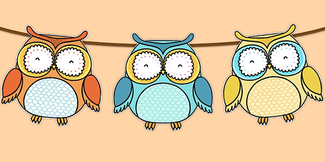 Owls Bunting (teacher made) - Twinkl