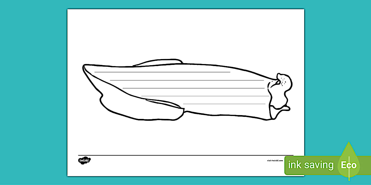 Squid Writing Template (teacher made) - Twinkl