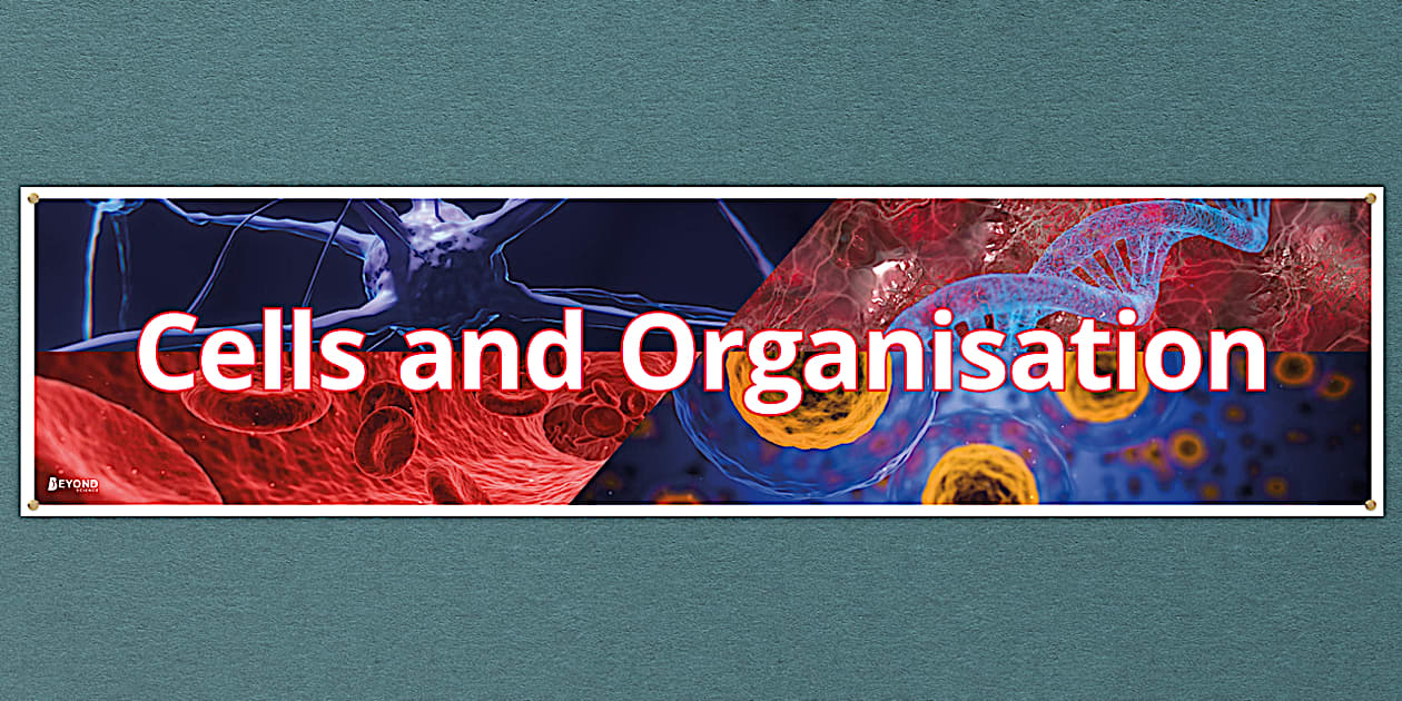 Editable Cells and Organisation Display Banner - Twinkl
