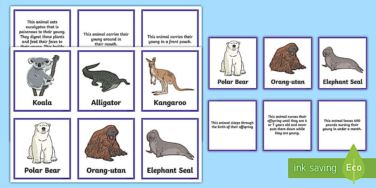 Incredible Mother Animals Matching Cards (teacher made)