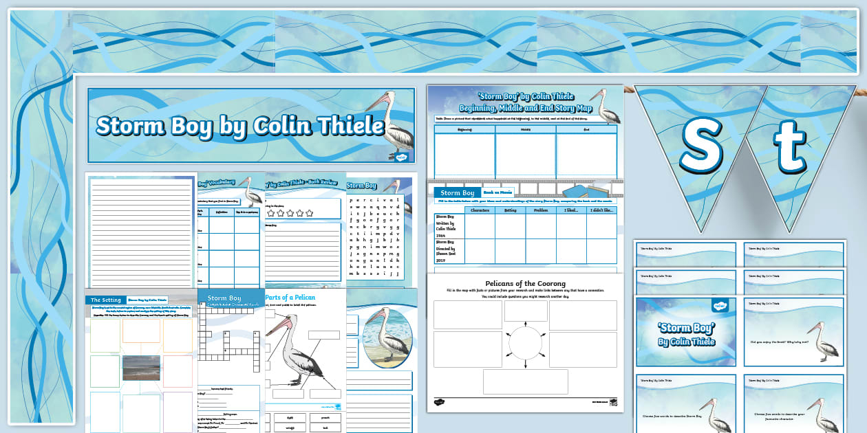 Activity Pack to Support the Teaching of 'Storm Boy'