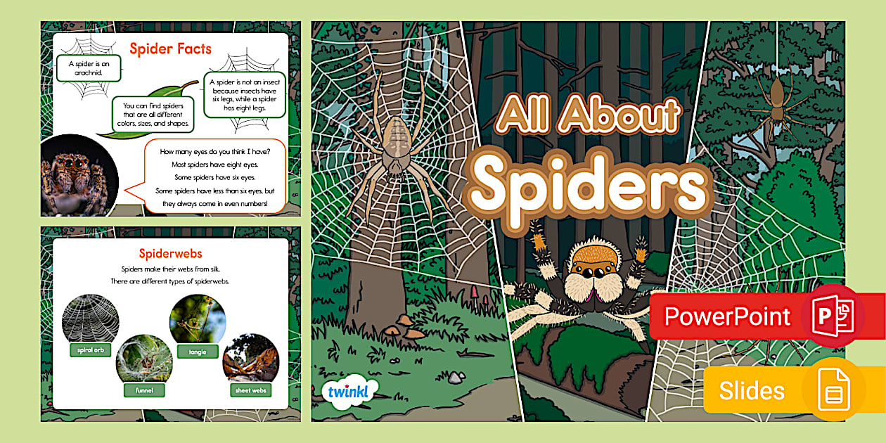 All About Spiders PowerPoint & Google Slides for K-2nd Grade