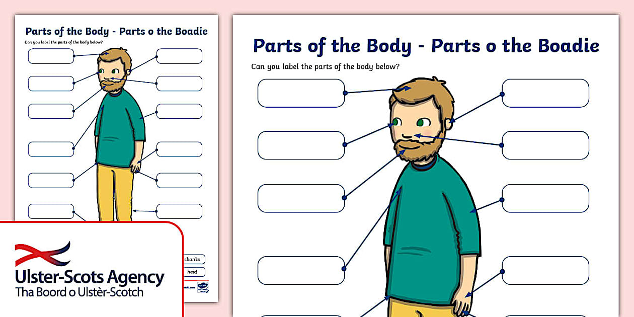 FREE! - Ulster Scots: Parts of the Body Labelling Activity | Vocab
