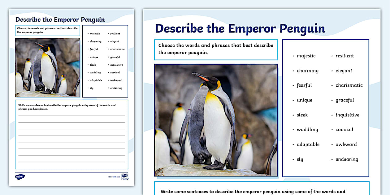 Describe an Emperor Penguin Worksheet (Teacher-Made)