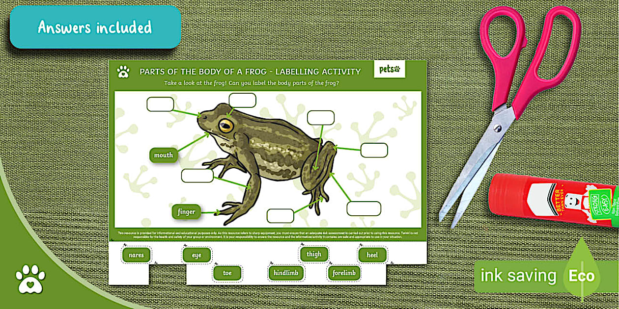 Parts of the Body of a Frog - Labelling Activity - Pets