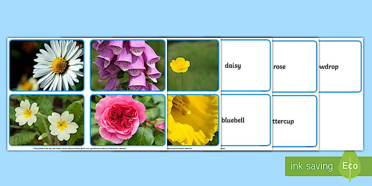 Flowers Photo Matching Cards - Flowers Photo Matching Cards