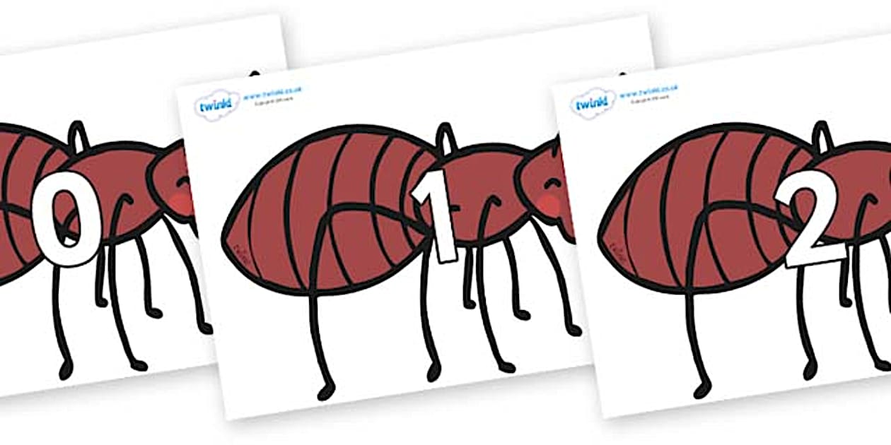 Numbers 0-50 on Ants