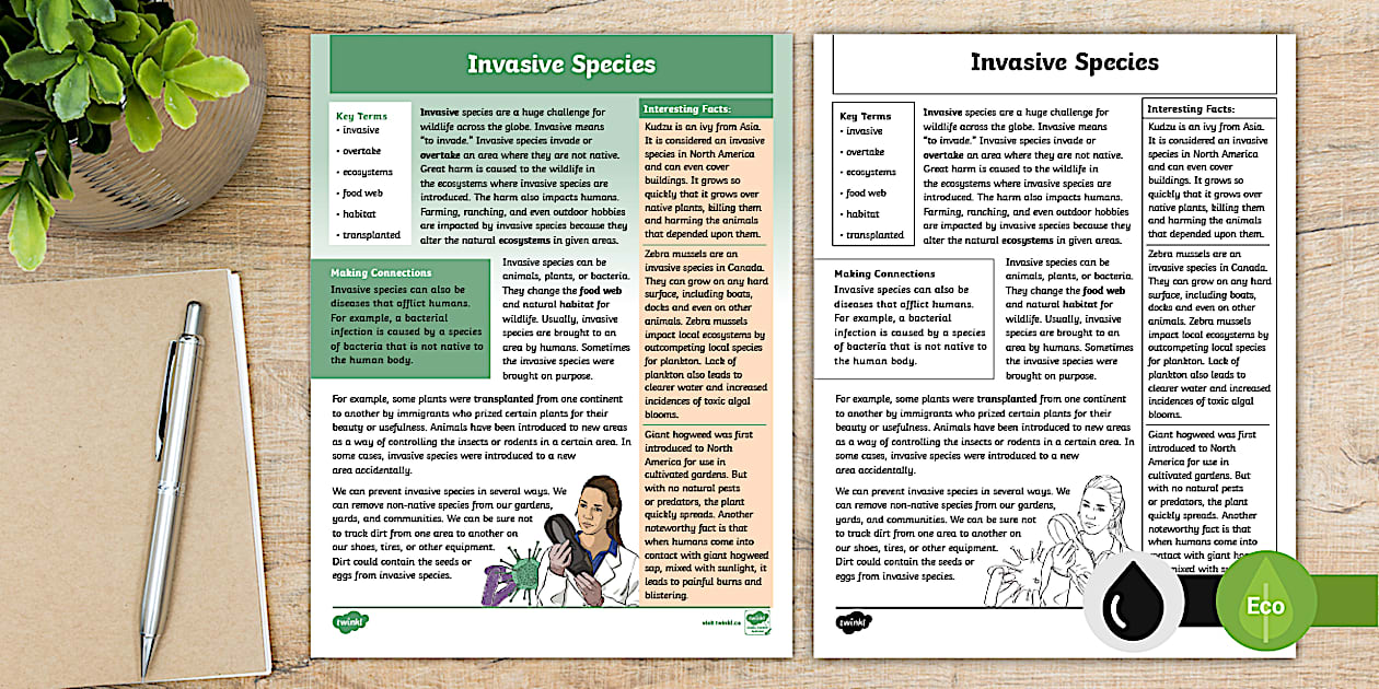 Invasive Species Fact File (Hecho por educadores) - Twinkl
