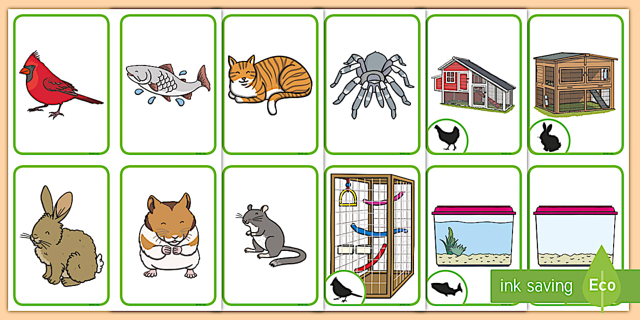 Pets and Their Homes: Matching Pairs Cards (teacher made)