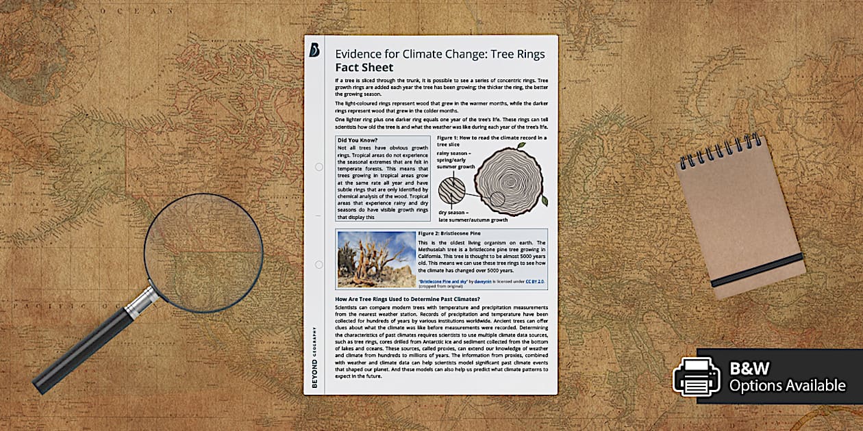 GCSE Evidence for Climate Change Tree Rings: Fact Sheet