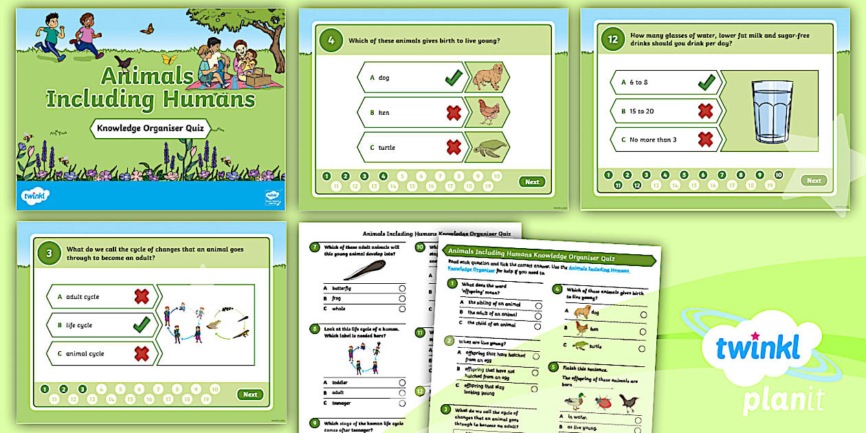 KS1 Science Quiz | Animals Including Humans | Year 2 Science