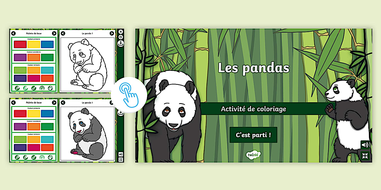 Jeu interactif coloriage : Les pandas (Teacher-Made)