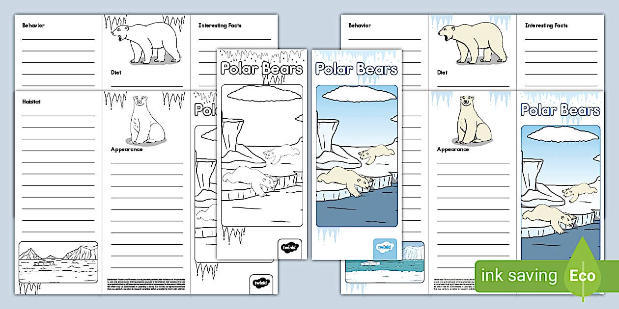 Polar Bear Leaflet Template (teacher made) - Twinkl