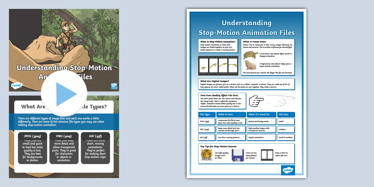 Animation File Types Resource Pack (teacher made) - Twinkl