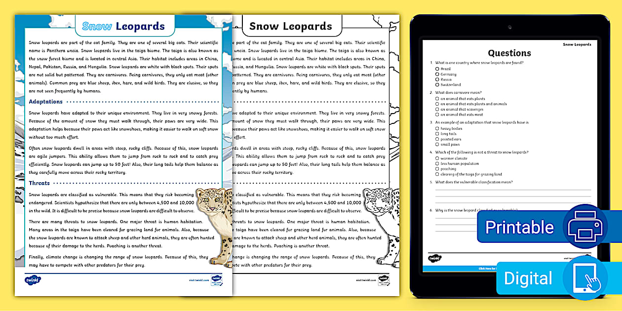 3rd Grade Snow Leopard | Reading Comprehension | Twinkl