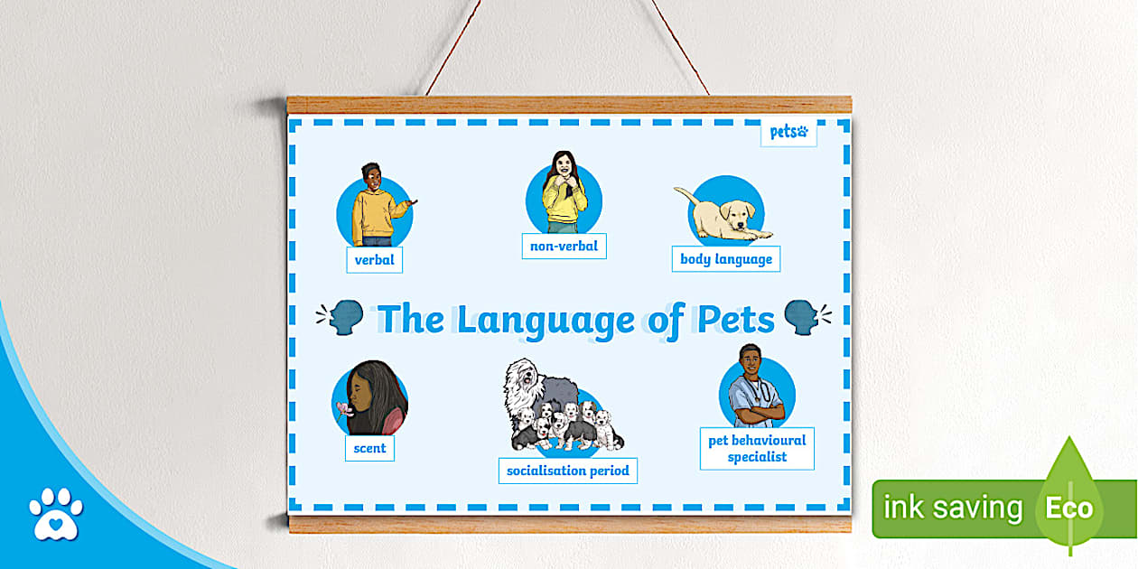The Language of Pets - Word Mat - Twinkl Pets (teacher made)