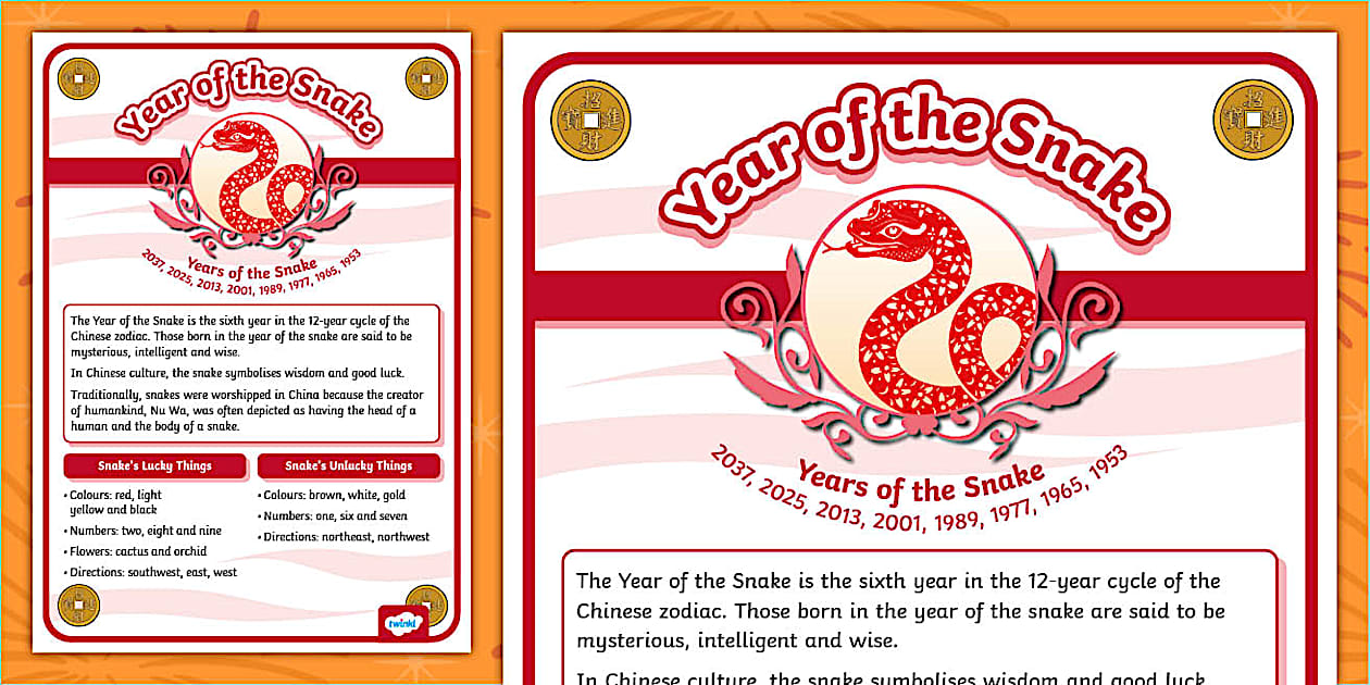 Year of the Snake Information Poster (teacher made) - Twinkl
