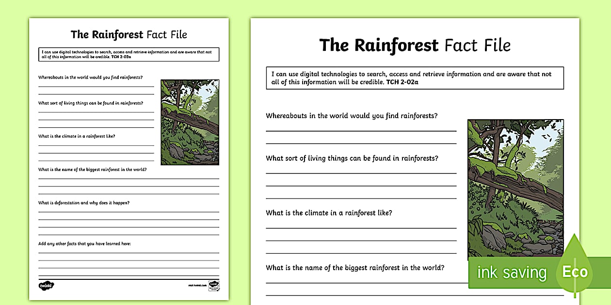 Black and White The Rainforest Fact File - Twinkl