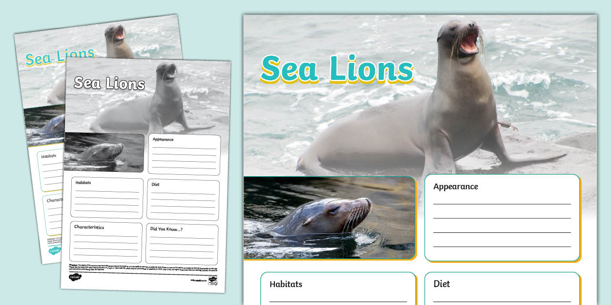 Sea Lions Fact File Template Natural Sciences (Teacher-Made)