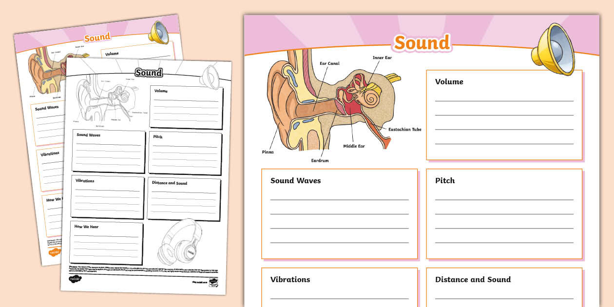 Sound Fact File Template - Twinkl Science (teacher made)