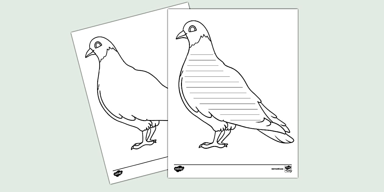Pigeon Writing Template (teacher made) - Twinkl