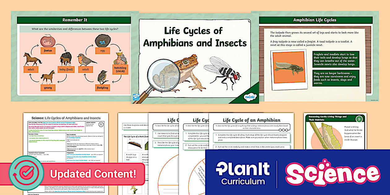 Science: LTaTH: Life Cycles of Amphibians and Insects Y5 L5