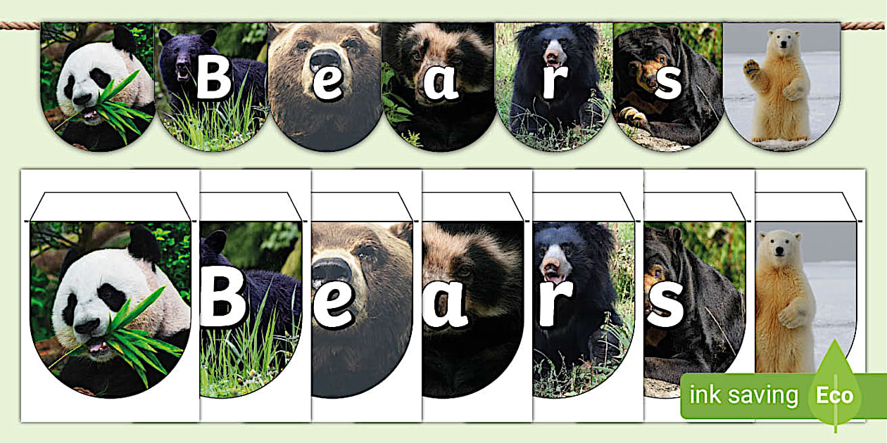 Types of Bears Photo Display Bunting (Teacher-Made) - Twinkl