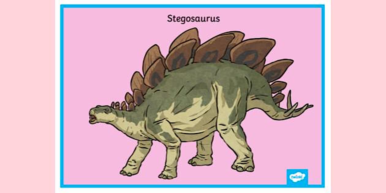 Stegosaurus Display Poster | Primary Resources - Twinkl