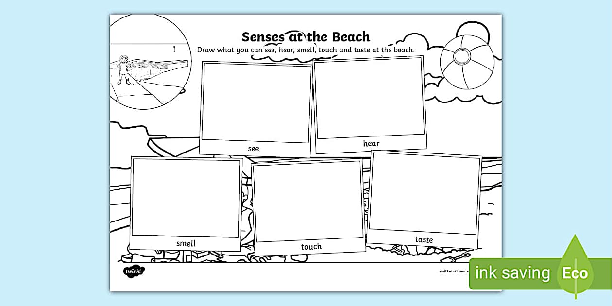 Senses at the Beach To Support Teaching on Jetty Jumping