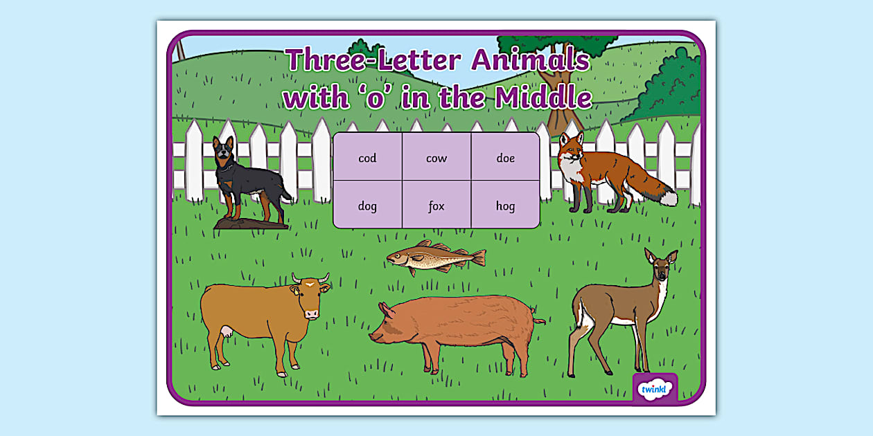 Three Letter Animals with 'O' in the Middle Display Poster