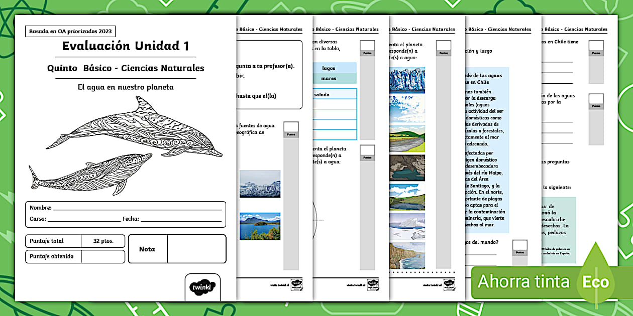Evaluación: 5º básico - Unidad 1 - Ciencias Naturales