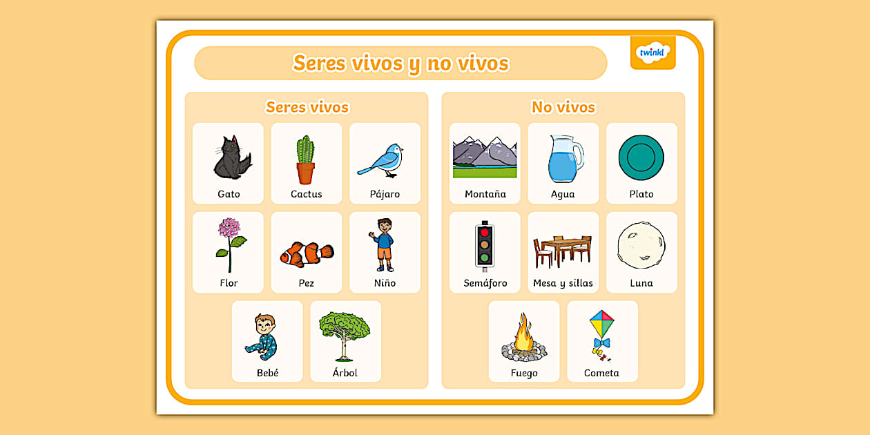 Lámina de seres vivos y no vivos | Twinkl (teacher made)
