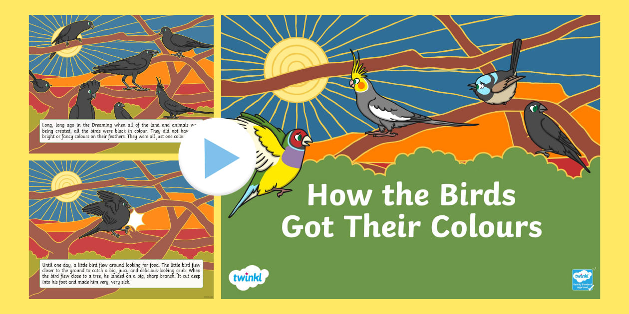 Aboriginal Dreaming How the Birds Got Their Colours PowerPoint