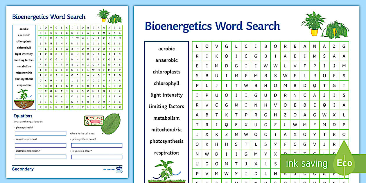 Bioenergetics Word Search (teacher made) - Twinkl