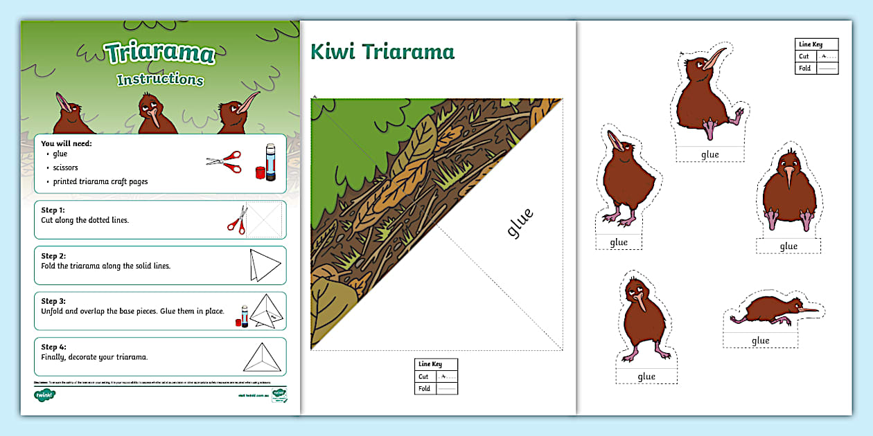 Kiwi Bird Triarama Craft - Twinkl Craft