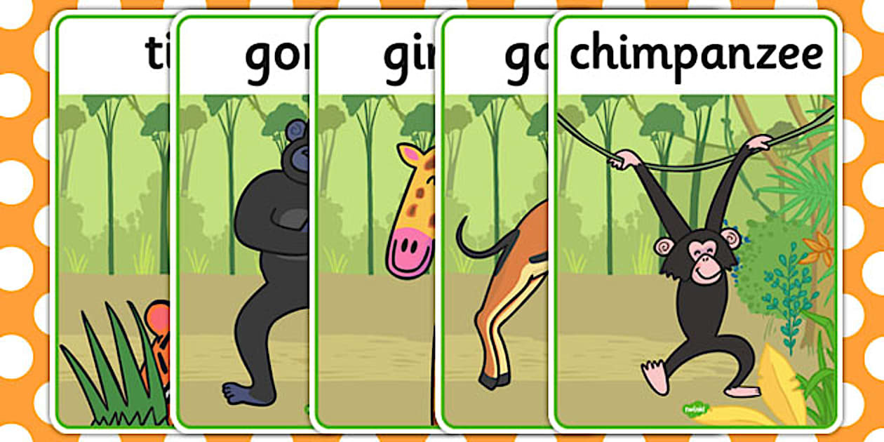 Display Posters to Support Teaching on Rumble in the Jungle