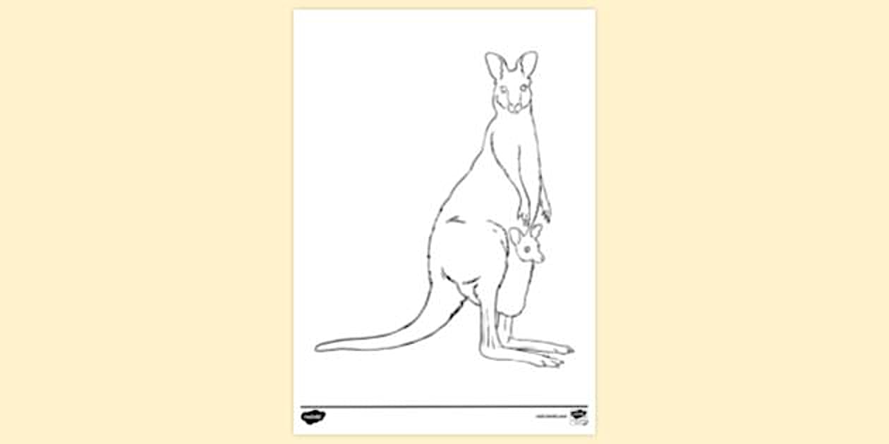 Joey in Mothers Pouch Kangaroo Colouring | Colouring Sheets
