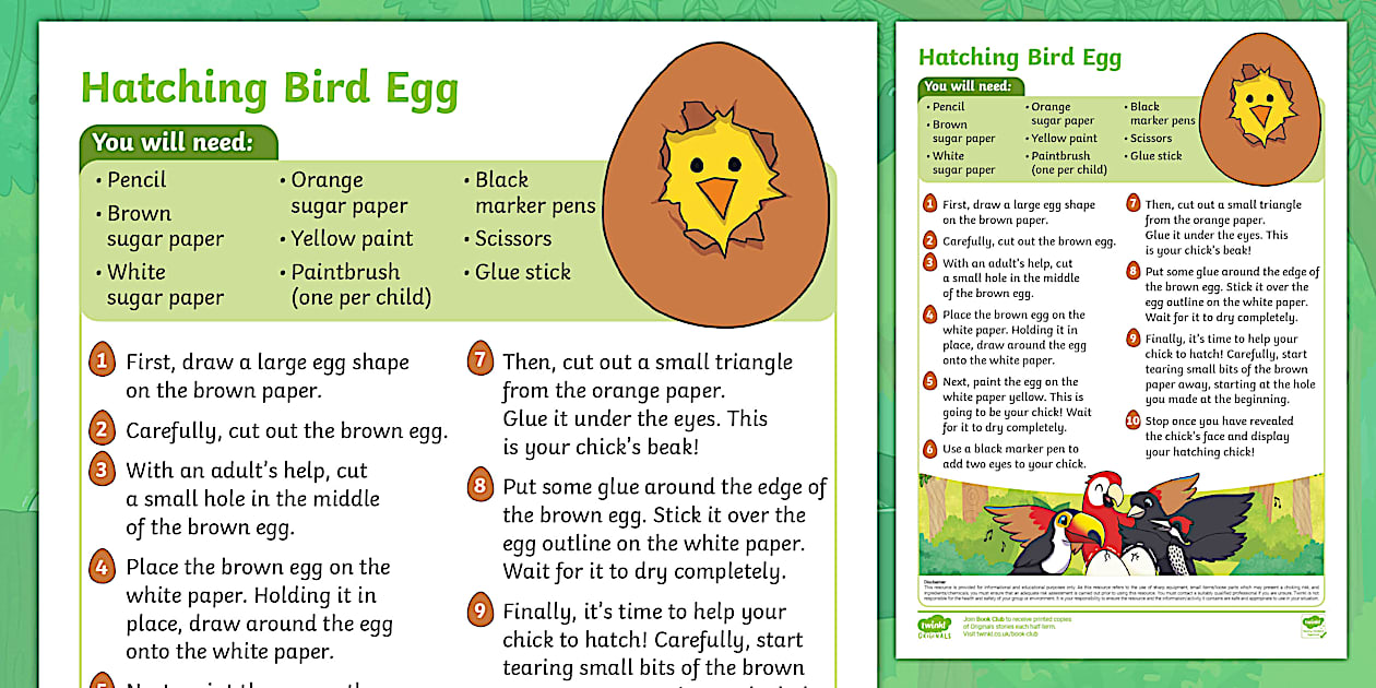 Hatching Bird Egg Craft Instructions (teacher made) - Twinkl