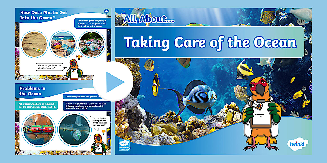 All About Taking Care of the Ocean PowerPoint - Twinkl