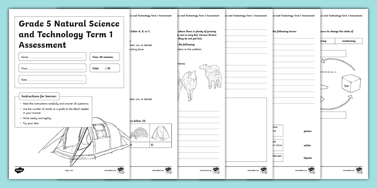 Grade 5 Natural Science & Technology Assessment – Term 1