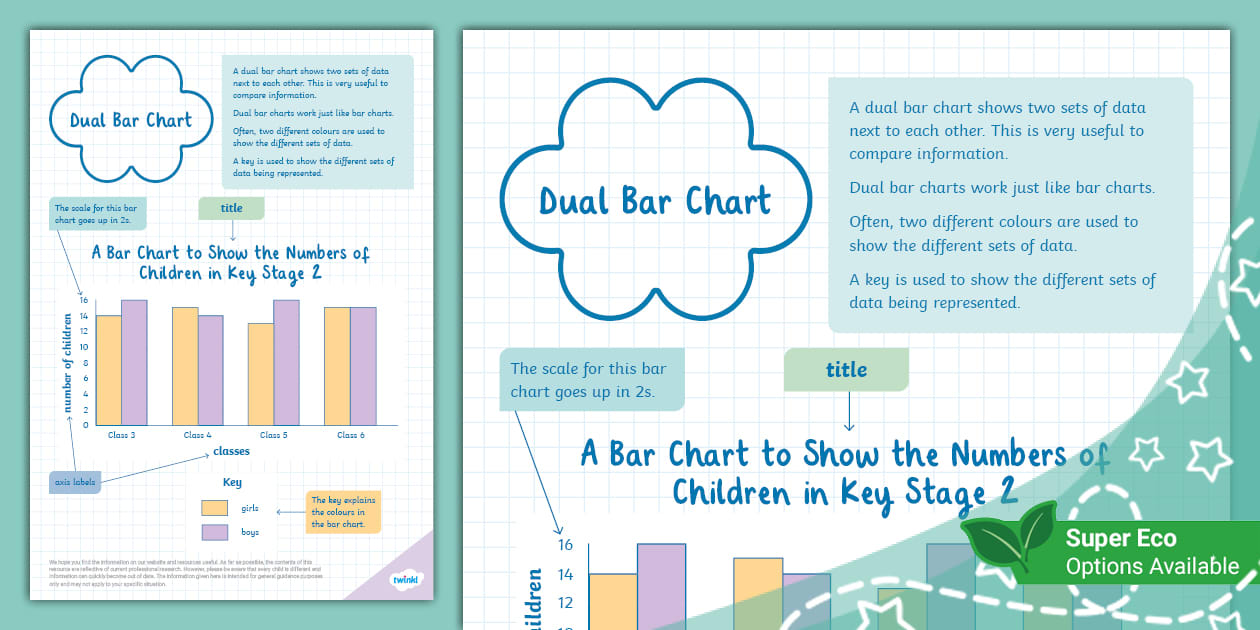 Statistics: Dual Bar Charts Poster (teacher made) - Twinkl
