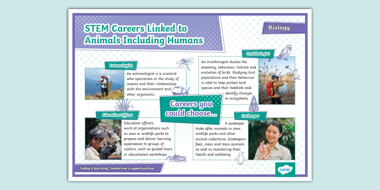 Animals Including Humans STEM Careers Poster - KS2 - Twinkl