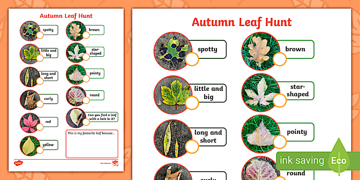 Autumn Leaf Scavenger Hunt: Extending Vocabulary Activity | Twinkl