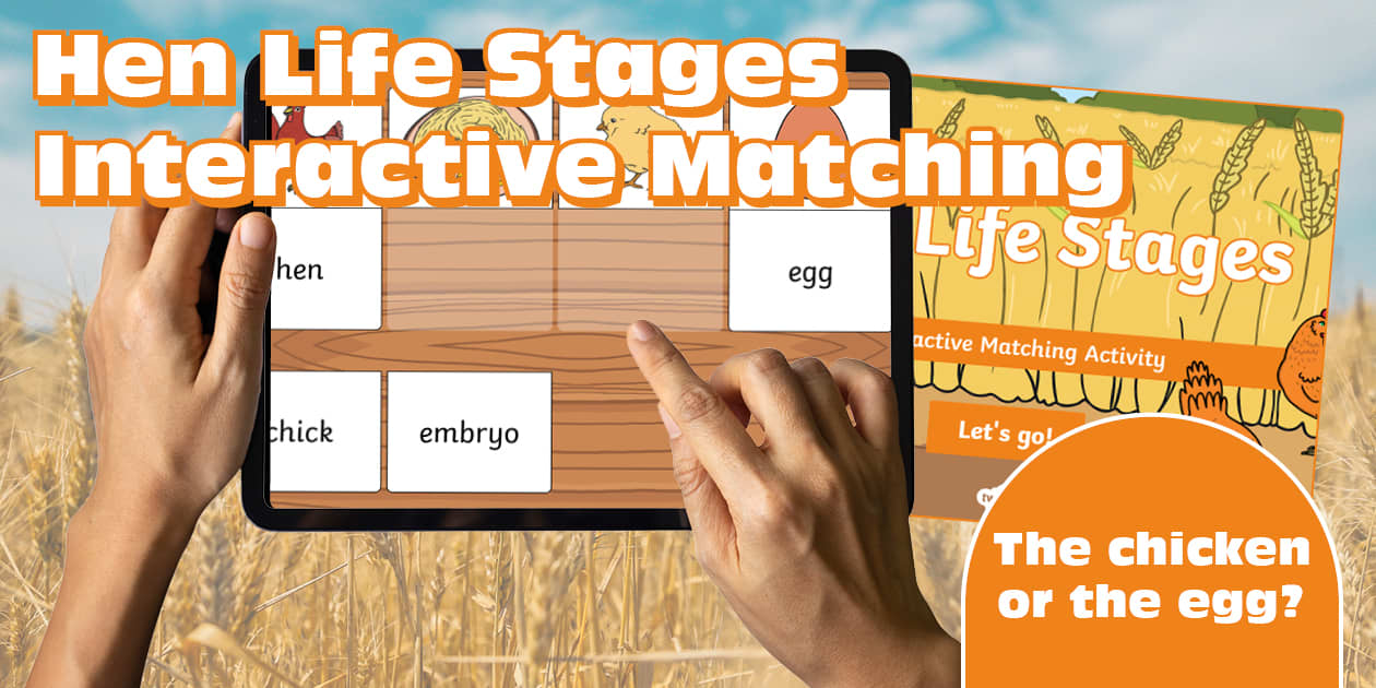 * NEW * Hen Life Stages Interactive Matching
