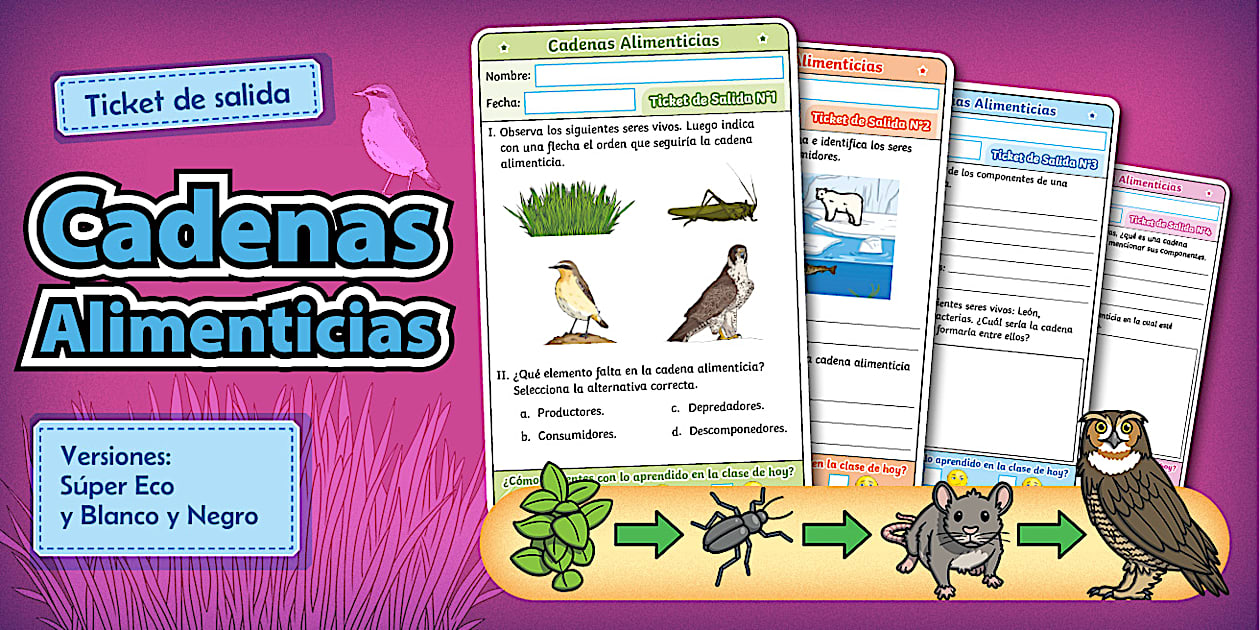 Ticket de Salida | Cadenas Alimenticias | Ciencias Naturales
