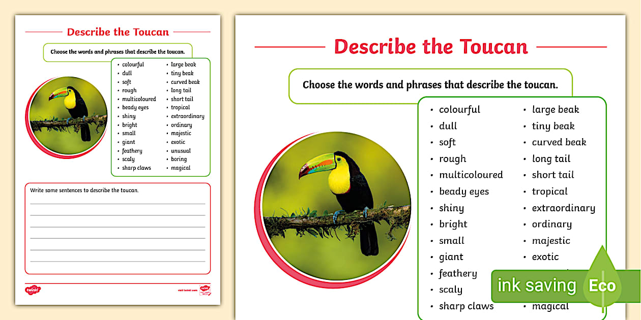 Describe the Toucan Writing Activity Sheet,toucan