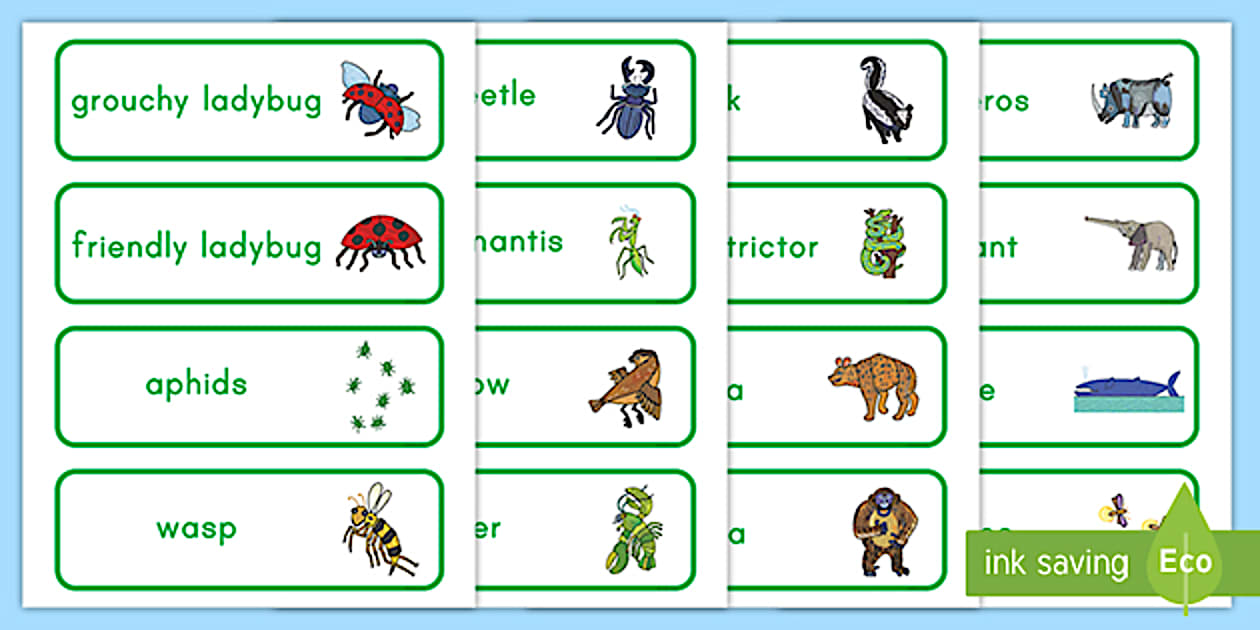 The Grouchy Ladybug Word Cards - Twinkl