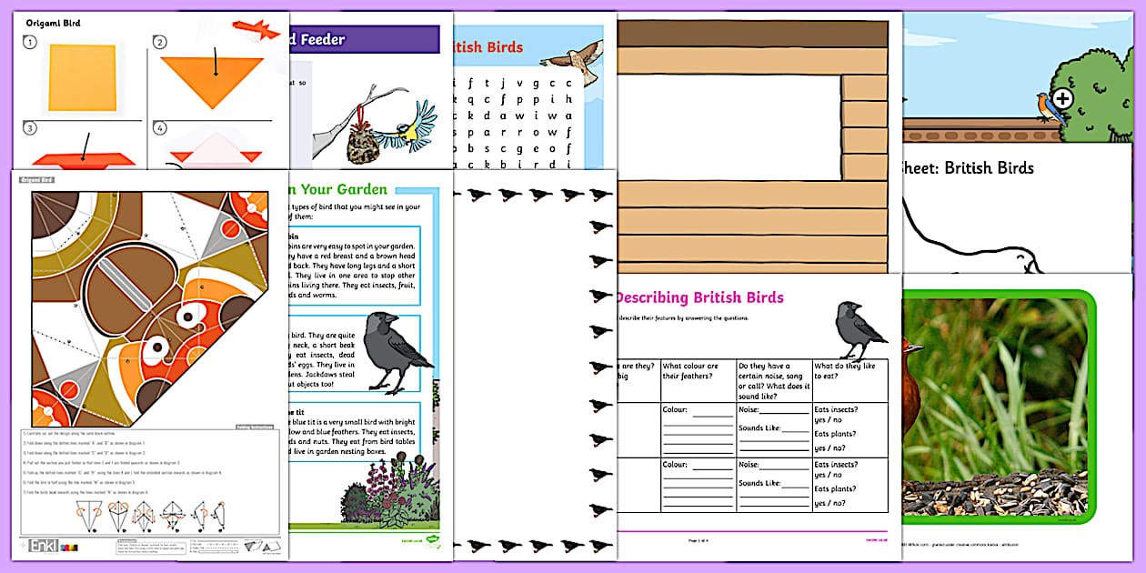 British Birds KS1 | Resource Pack | Primary Teaching