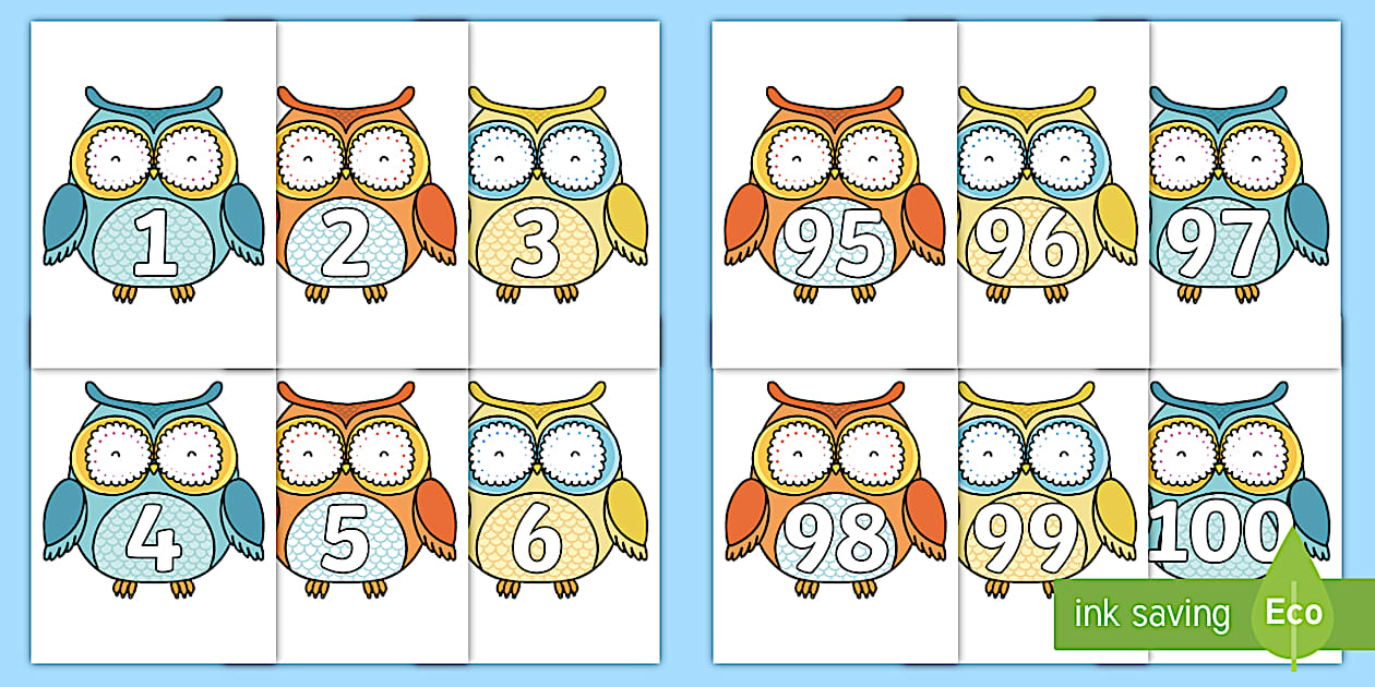 1 - 100 on Cute Owls Number Line - Twinkl